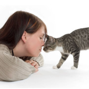 11 Cat Sounds and What They Mean – The Purrington Post