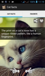 Cat Facts: An App for True Cat Lovers – The Purrington Post