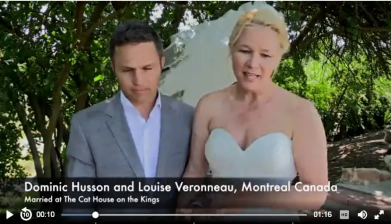 Cat Nation: A Documentary Exploring Japan’s Cat-Centric Culture - The ...