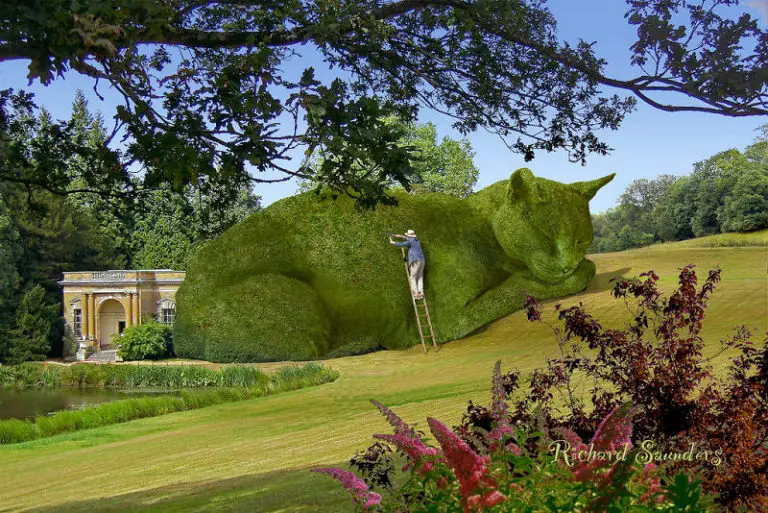 Topiary Cats Made Us Green With Envy – The Purrington Post