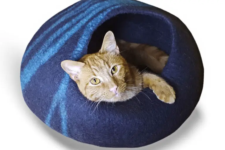 Cozy Eco-Friendly Cat Caves – The Purrington Post