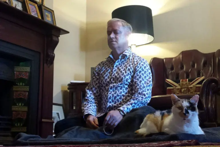 The Power of Meow – The Purrington Post