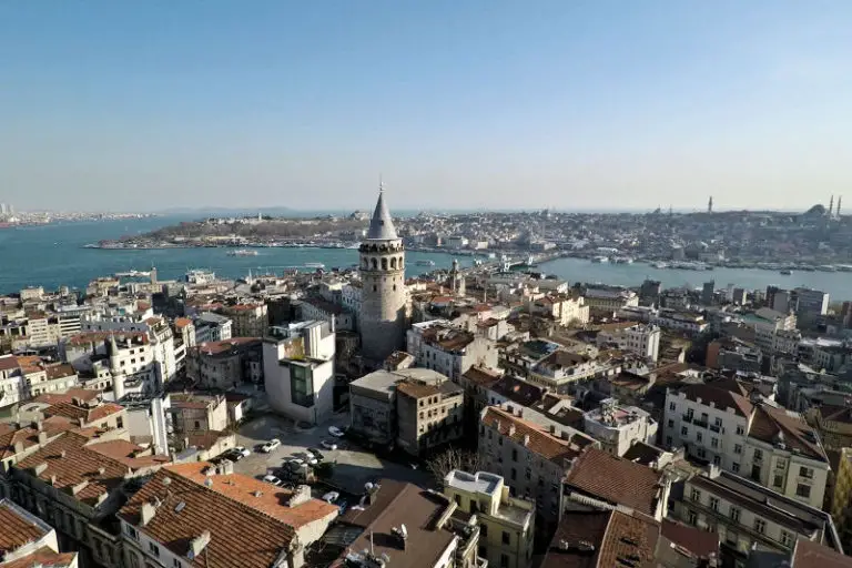 Kedi: A Documentary about 7 Street Cats – The Purrington Post