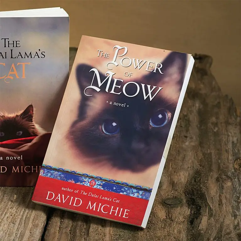 The Power of Meow – The Purrington Post