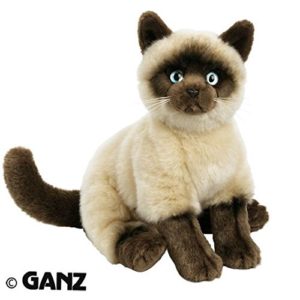 A Brave Kitty Named Bizzy – The Purrington Post