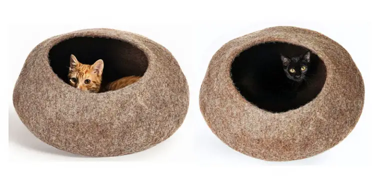 These Handcrafted Cat Caves are Purrfect! – The Purrington Post