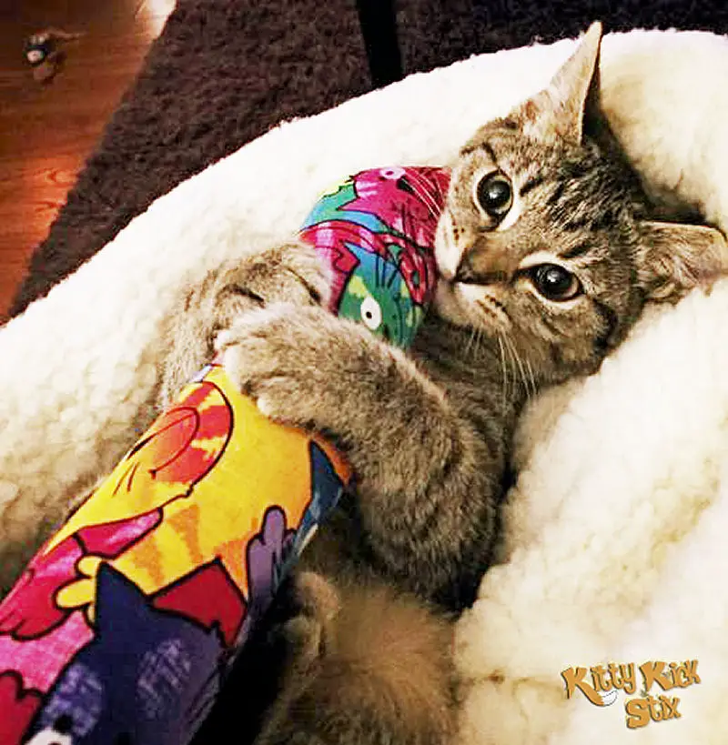 Catnip Kitty Kicker Contest Keeping Cats Kooky - The Purrington Post