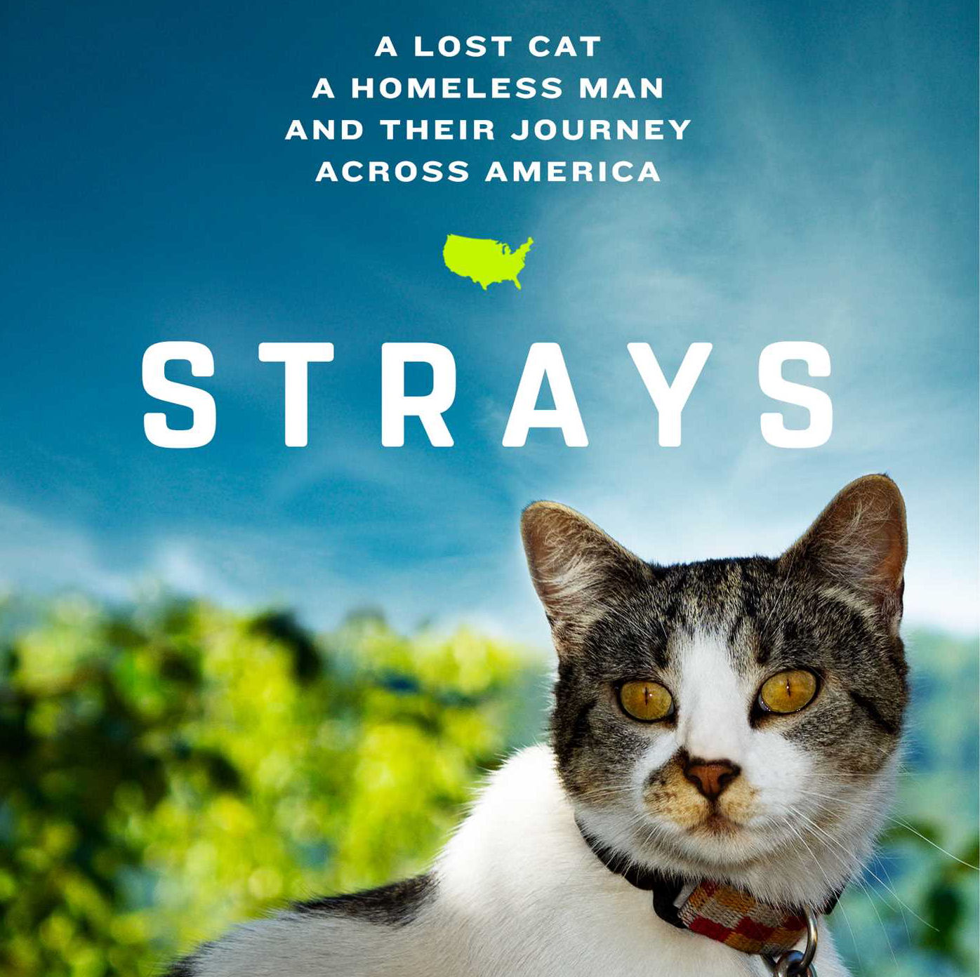 STRAYS: A Lost Cat, a Homeless Man, and Their Journey Across America ...