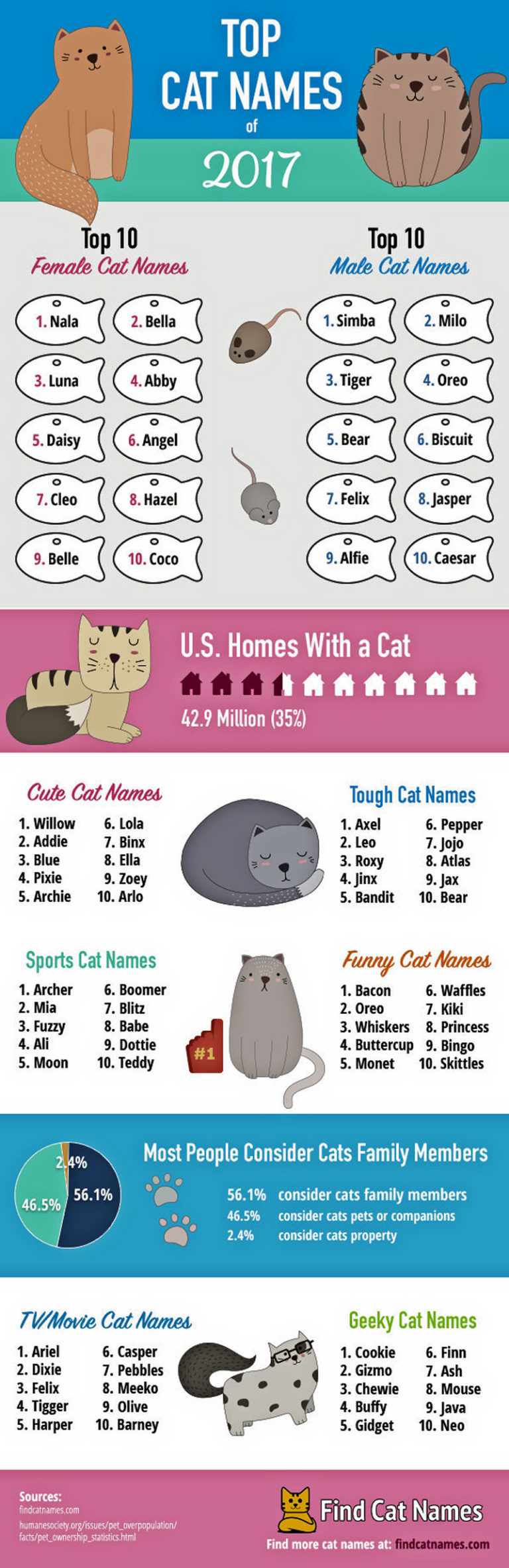 Top Cat Names of 2017 – The Purrington Post