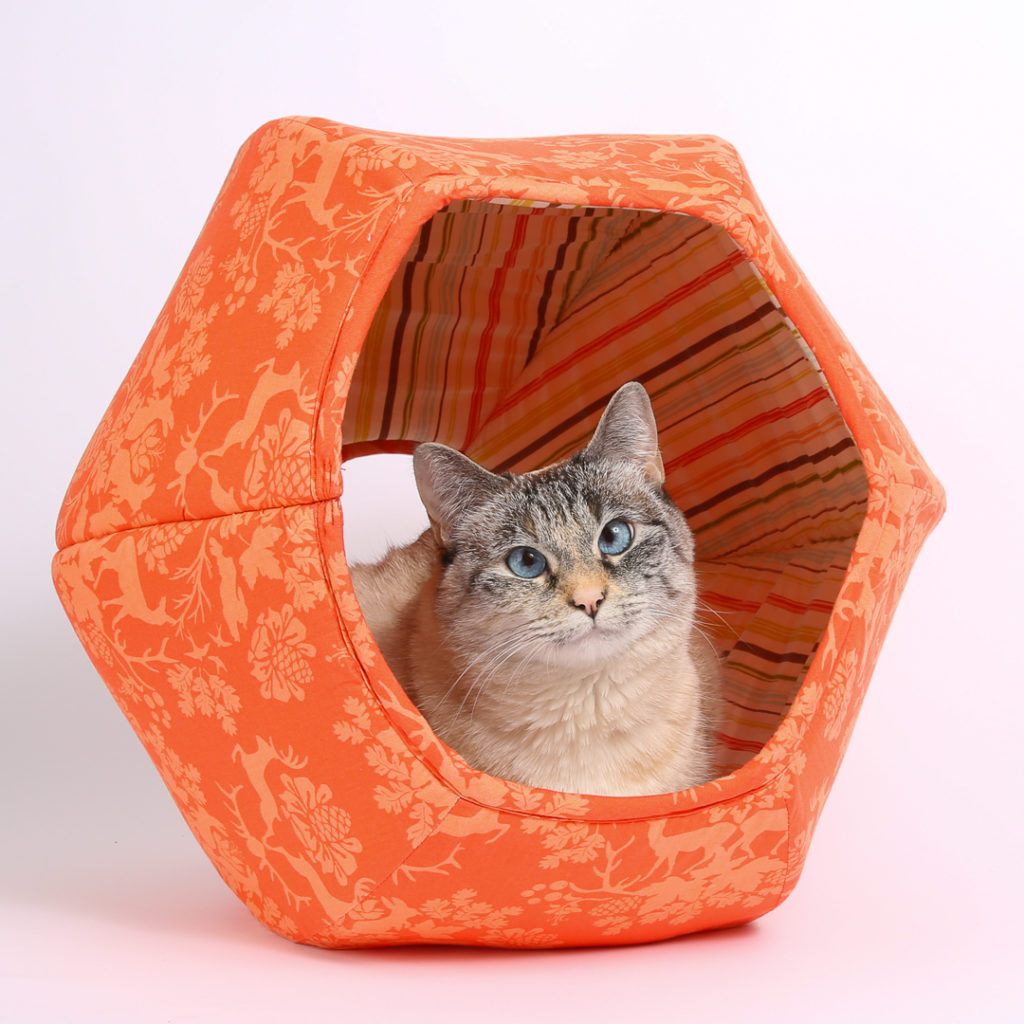 Wicked Ball – An Interactive Smart Toy – The Purrington Post