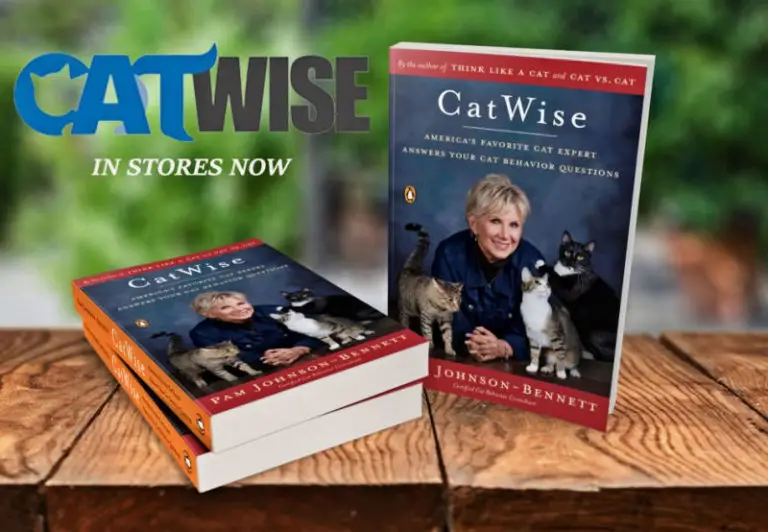 Are You Cat Wise? – The Purrington Post