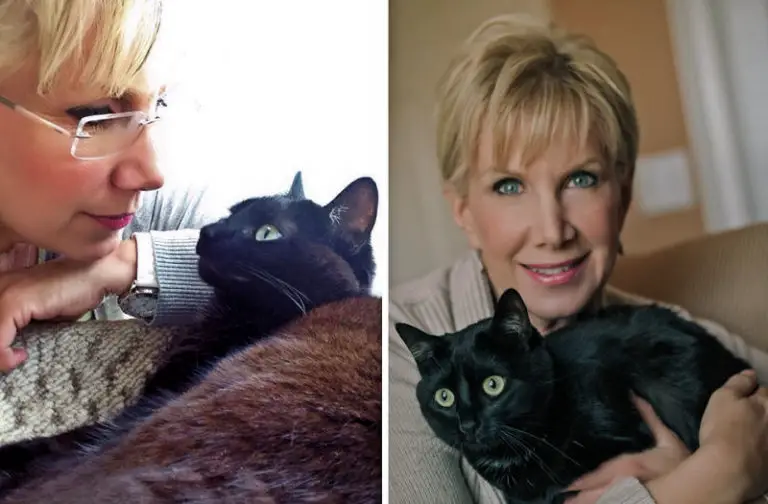 Are You Cat Wise? – The Purrington Post