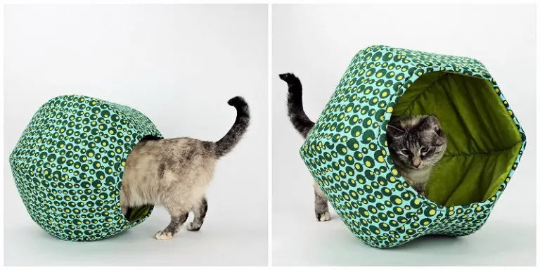The Cat Ball – Your Cat Will Figure It Out! - The Purrington Post