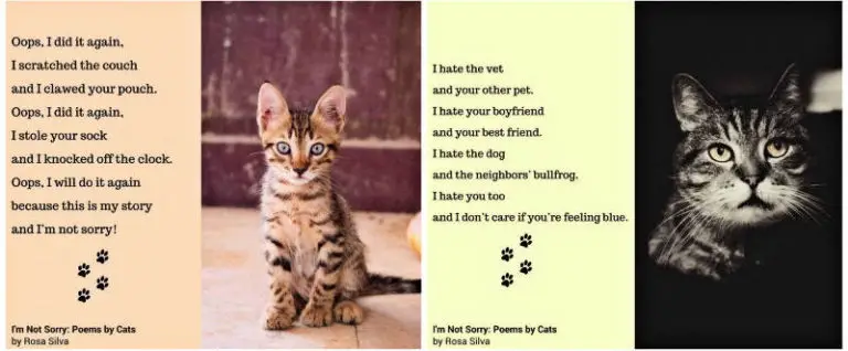 I’m Not Sorry: Poems by Cats – The Purrington Post