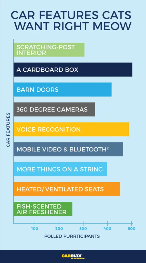 What Cats Want in Cars – The Purrington Post