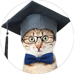 Cat School – Classes Now in Session - The Purrington Post