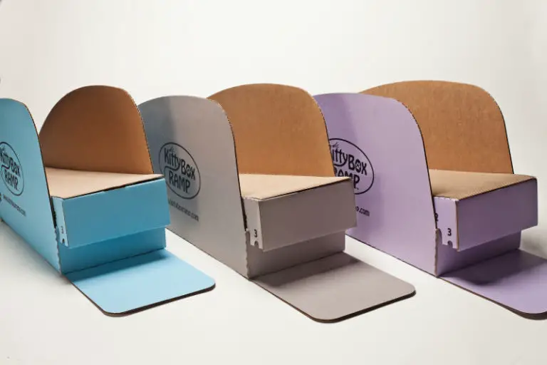 The Kitty Box Ramp – The Purrington Post