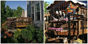 Four Fabulous Real Life Catios – The Purrington Post