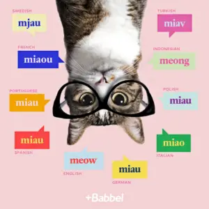 Celebrate International Cat Day – The Purrington Post