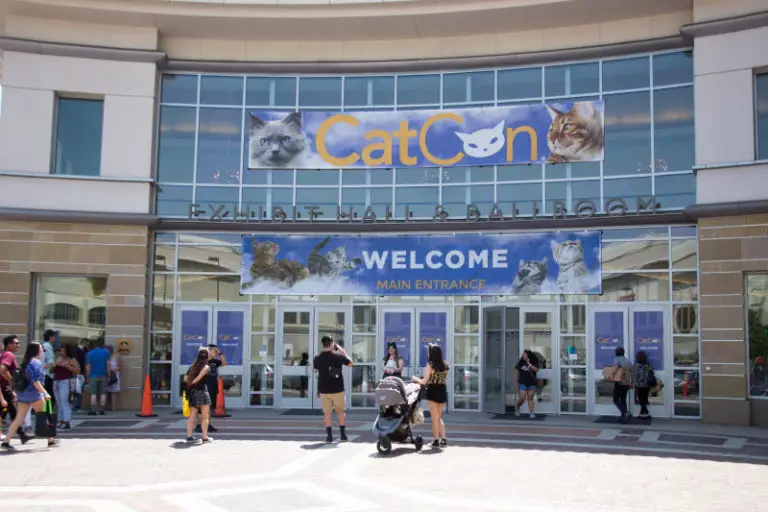 CatCon 2018 Sets New Records – The Purrington Post