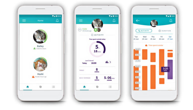 WIN a Microchip Cat Flap Connect from Sure Petcare