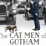 Kedi: A Documentary about 7 Street Cats – The Purrington Post