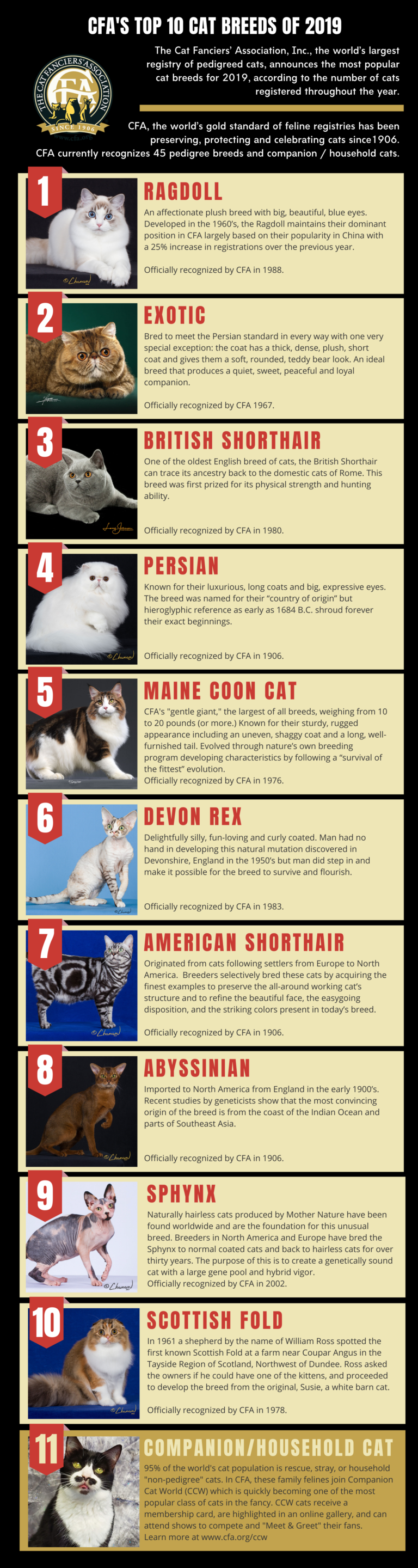 Top 10 Cat Breeds of 2019