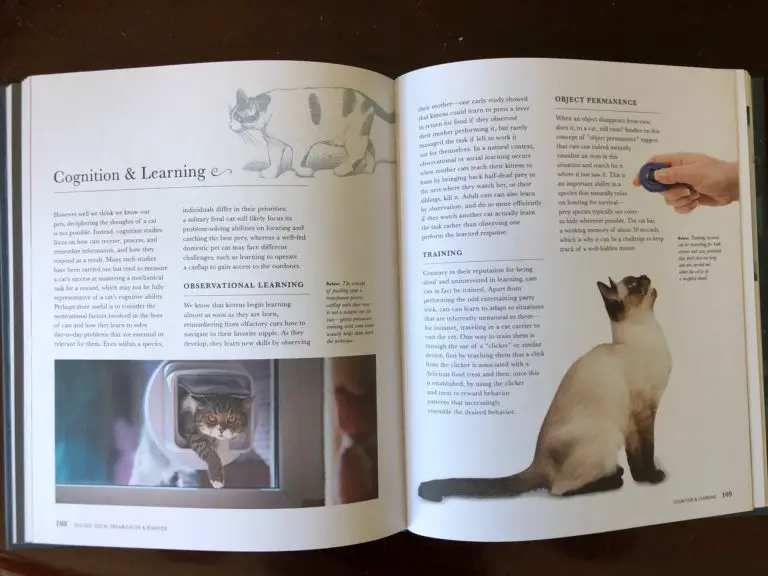 The Cat – A Natural and Cultural History