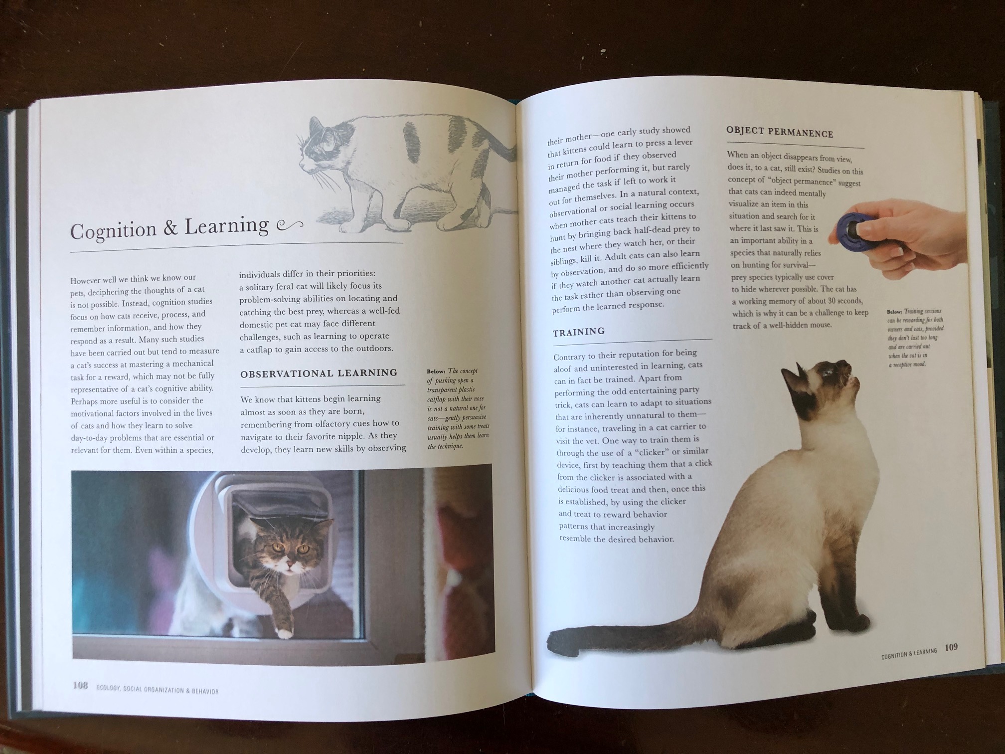 The Cat – A Natural and Cultural History – The Purrington Post