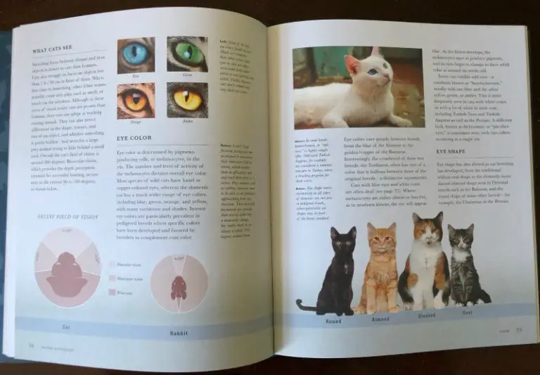 The Cat – A Natural and Cultural History – The Purrington Post