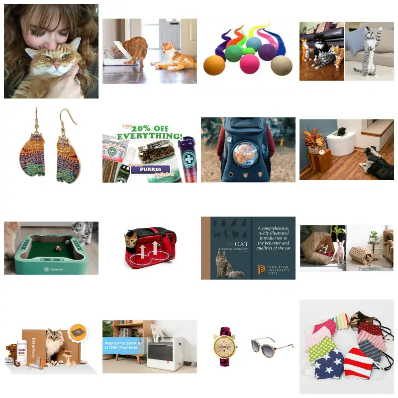 - The Purrington Post