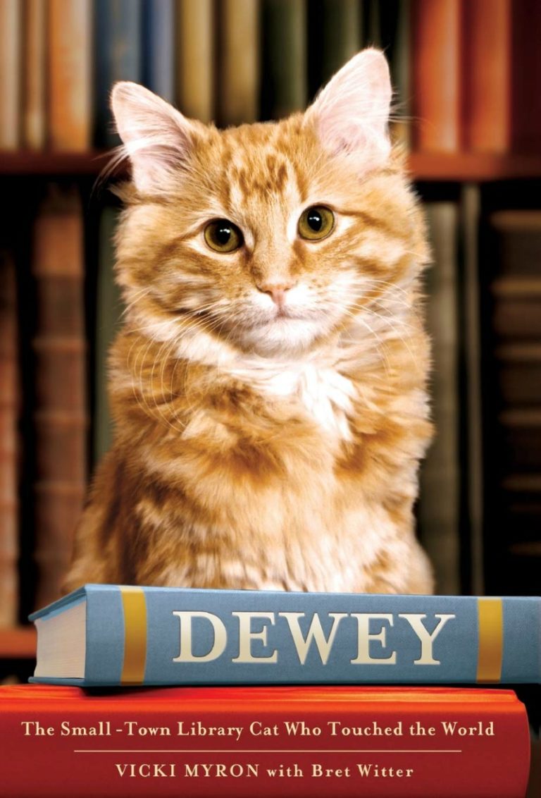 The Very Best Books All Cat Lovers Need to Read – The Purrington Post
