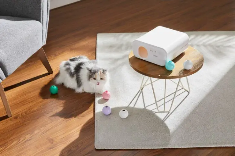 Meet TREATOI – A Smart Automatic Treat Ball Dispenser – The Purrington Post