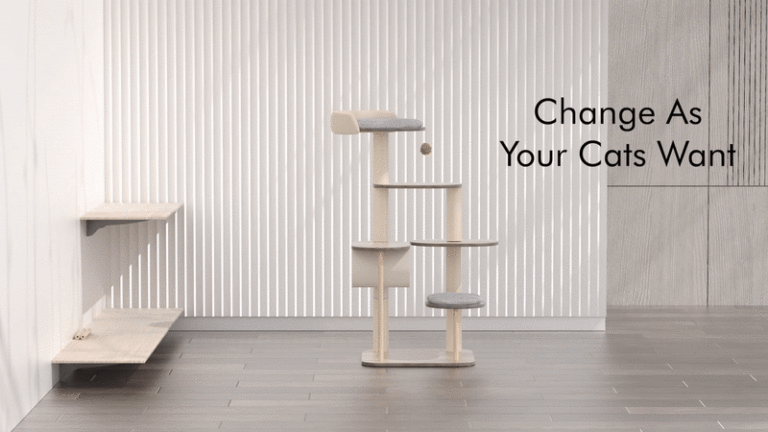 Transforming – The Purrington Post