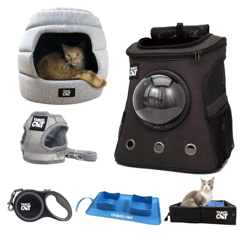 WIN These Amazing Bundles from Travel Cat – The Purrington Post