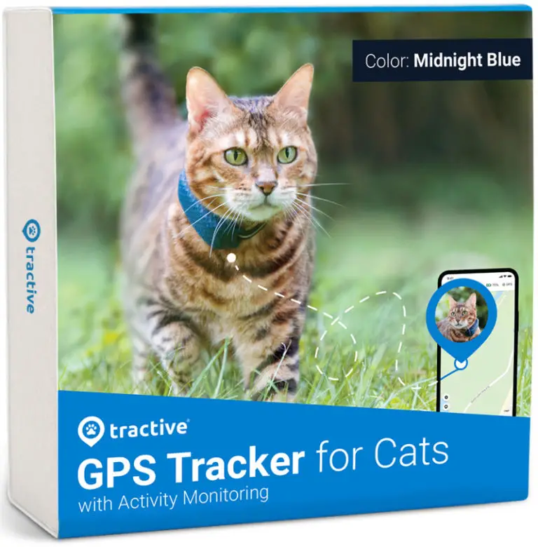 Lost Cat? Not Anymore with a Tractive GPS Cat Tracker – The Purrington Post