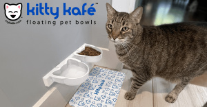 Cat Trilling: What Is It And What Does It Mean? - The Purrington Post