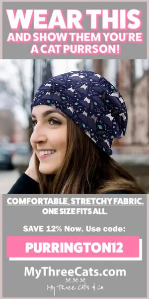 The Purrington Post - A Fresh, Fun and Feline Friendly Cat Blog and ...