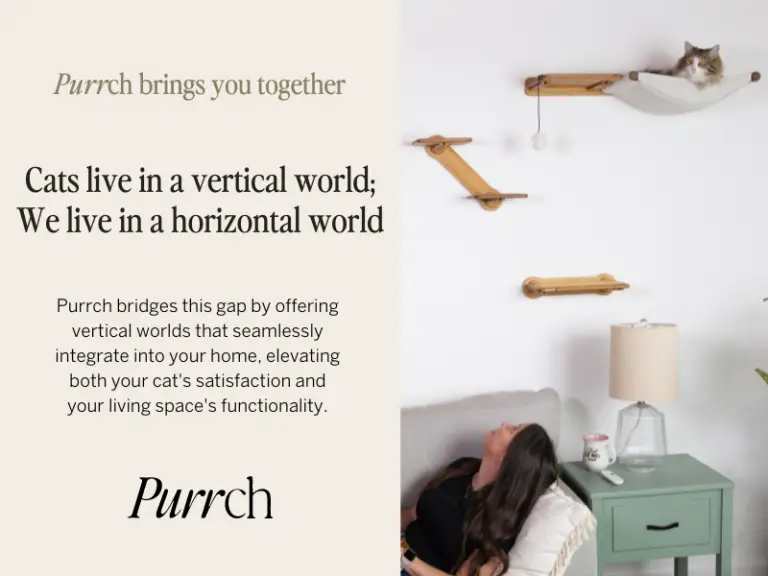 WIN a Purrch Climber! – The Purrington Post