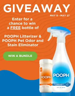 The Purrington Post – A Fresh, Fun and Feline Friendly Cat Blog and ...