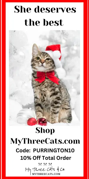 9 Iconic Artists Who Loved Cats – The Purrington Post